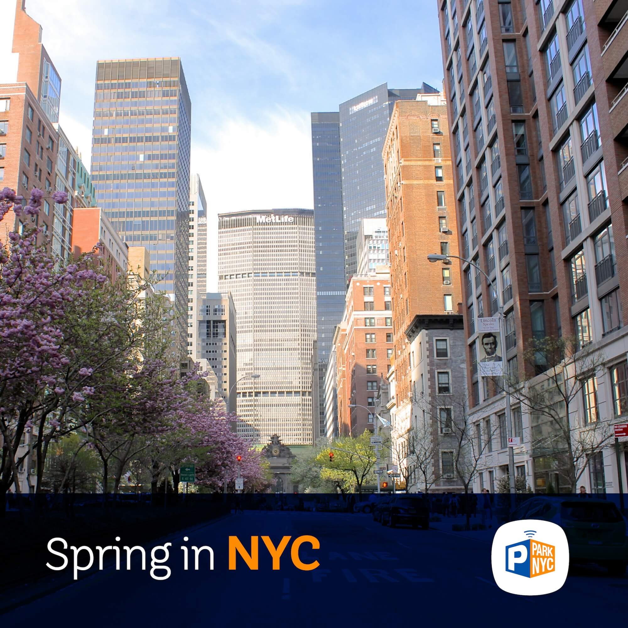 Embracing Spring in the Big Apple: Free Things to Do in New York City ...